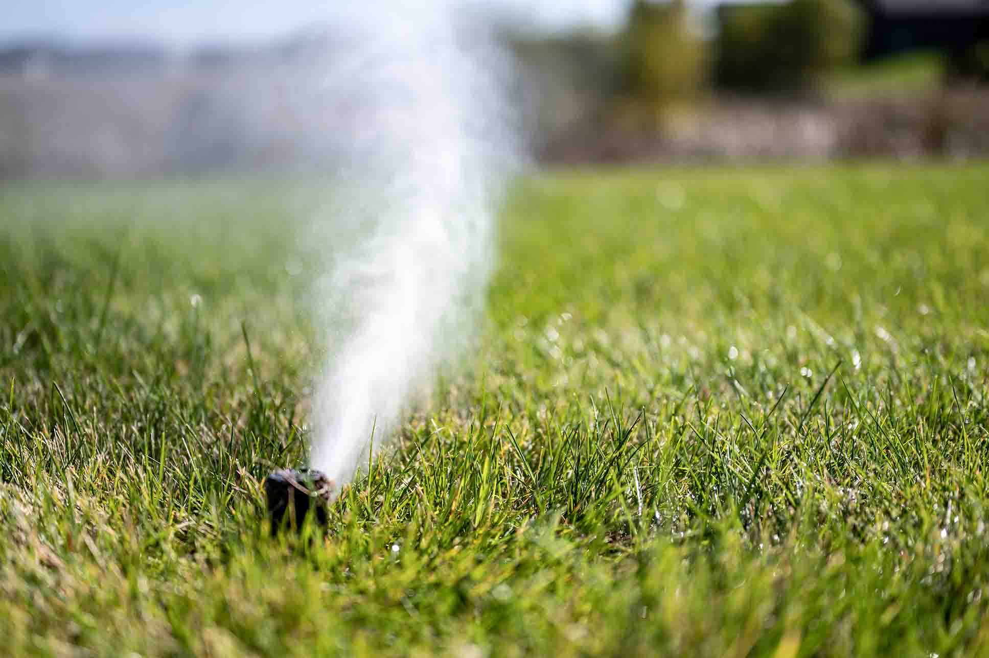 How To Winterize Your Sprinkler System - Tuxedo Yard Care