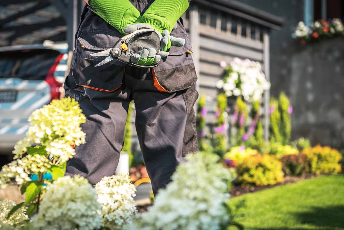 Save Your Lawn! …With A Yard Cleanup Service - Tuxedo Yard Care