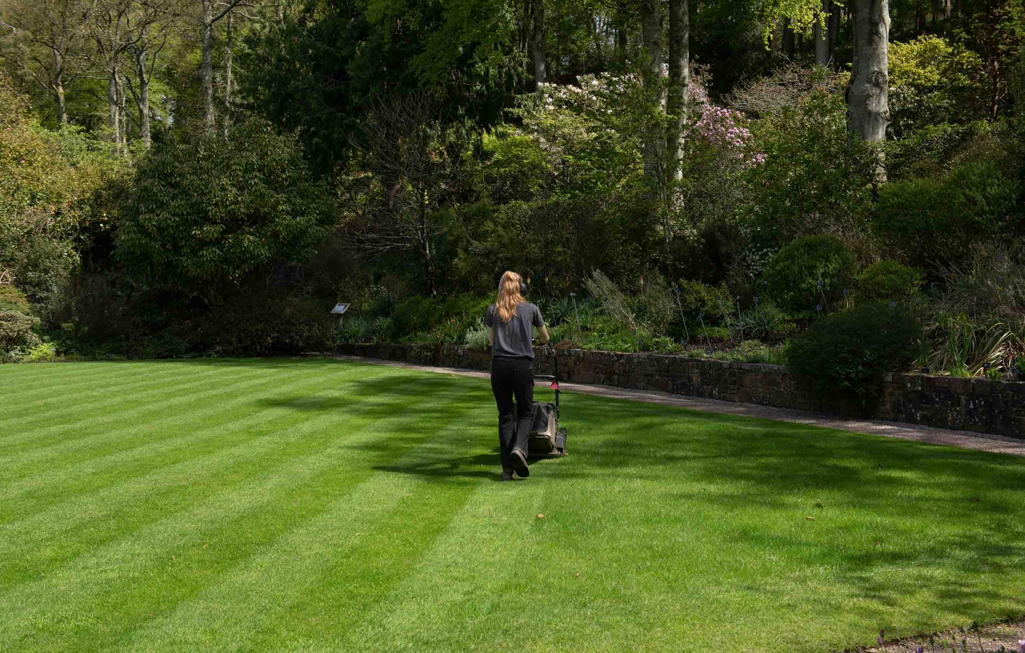 How To Stripe My Lawn - Tuxedo Yard Care
